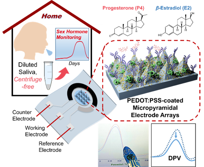 Sub-Femtomolar Flexible Electrodes for At-Home Sex Hormone Monitoring